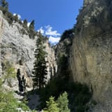 Fletcher Canyon Trail, Nevada - 2,804 Reviews, Map | AllTrails