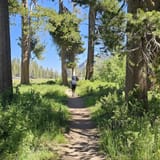 Big Meadow to Round Lake, California - 839 Reviews, Map | AllTrails