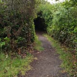 Damon Point State Park Trail, Washington - 513 Reviews, Map | AllTrails