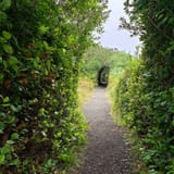 Damon Point State Park Trail, Washington - 513 Reviews, Map | AllTrails
