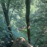 Shades State Park Trail #2, Indiana - 644 Reviews, Map | AllTrails