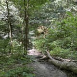Shades State Park Trail #2, Indiana - 644 Reviews, Map | AllTrails