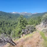 Dry Pond Loop, Nevada - 1,505 Reviews, Map | AllTrails