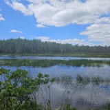 Batsto Lake Trail, New Jersey - 1,834 Reviews, Map | AllTrails