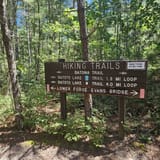 Batsto Lake Trail, New Jersey - 1,834 Reviews, Map | AllTrails