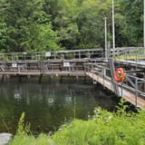 Qualicum Hatchery Loop, British Columbia, Canada - 168 Reviews, Map ...