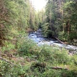 Staircase Rapids Loop, Washington - 2,766 Reviews, Map | AllTrails