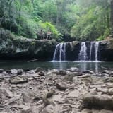 Fiery Gizzard Trail to Raven's Point, Tennessee - 1,141 Reviews, Map ...