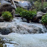 Carlon Falls Trail, California - 1,281 Reviews, Map | AllTrails