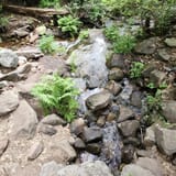 See Spring Trail, Arizona - 873 Reviews, Map | AllTrails