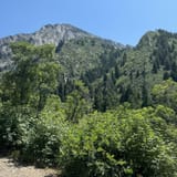 Neff's Canyon Loop, Utah - 3,025 Reviews, Map | AllTrails