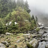 Pinnacle Lake Trail, Washington - 344 Reviews, Map | AllTrails
