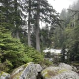 Pinnacle Lake Trail, Washington - 344 Reviews, Map | AllTrails
