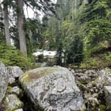Pinnacle Lake Trail, Washington - 344 Reviews, Map | AllTrails