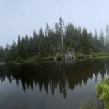 Pinnacle Lake Trail, Washington - 344 Reviews, Map | AllTrails