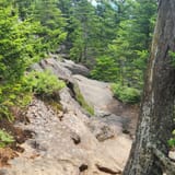 Liberty Trail and Brook Trail Loop to Mount Chocorua, New Hampshire ...