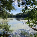 Puffers Pond to Atkins Reservoir via Robert Frost Trail, Massachusetts ...