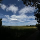 Matthews Hill, Virginia - 509 Reviews, Map | AllTrails