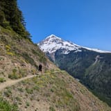 Timberline Trail Around Mount Hood, Oregon - 1,186 Reviews, Map | AllTrails