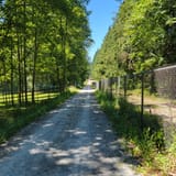 Lake Youngs, Washington - 338 Reviews, Map | AllTrails