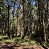 Drumbeg Provincial Park Loop, British Columbia, Canada - 118 Reviews ...