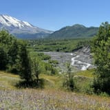 Hummocks Trail, Washington - 1,137 Reviews, Map | AllTrails