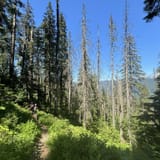 Pinnacle Lake Trail, Washington - 344 Reviews, Map | AllTrails