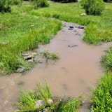 Ice Cave via Blue Ridge Cave Trail No. 608, Arizona - 517 Reviews, Map ...