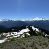 Excelsior Pass Trail, Washington - 641 Reviews, Map | AllTrails