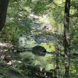 Moore Park Ravine Trail, Ontario, Canada - 1,327 Reviews, Map | AllTrails