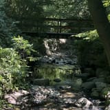 Moore Park Ravine Trail, Ontario, Canada - 1,327 Reviews, Map | AllTrails