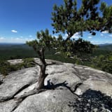 Stone Mountain Loop Trail, North Carolina - 3,415 Reviews, Map | AllTrails