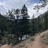 Cheesman Canyon, Colorado - 2,526 Reviews, Map | AllTrails
