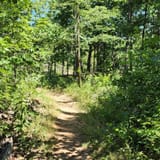 Saunders Springs Nature Preserve Loop, Kentucky - 400 Reviews, Map ...
