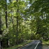 Pierce Stocking Scenic Drive, Michigan - 280 Reviews, Map | AllTrails