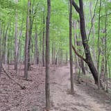 Mount Pleasant, Wildlife Management and Fort Hill Loop Trail, Ohio ...