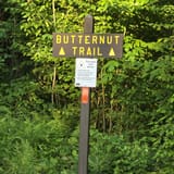 Butternut Trail, Pennsylvania - 199 Reviews, Map | AllTrails