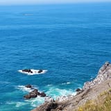 Cape Falcon Trail, Oregon - 4,103 Reviews, Map | AllTrails