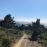 Sweeney Ridge Trail via Mori Ridge, California - 1,545 Reviews, Map ...