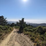 Sweeney Ridge Trail via Mori Ridge, California - 1,545 Reviews, Map ...
