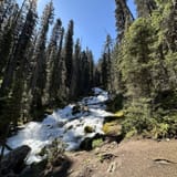 Karst Spring Trail, Alberta, Canada - 1,006 Reviews, Map | AllTrails