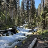 Karst Spring Trail, Alberta, Canada - 1,006 Reviews, Map | AllTrails