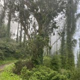 Gerbode Valley Loop, California - 529 Reviews, Map | AllTrails