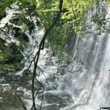 Vickery Creek Trail, Georgia - 4,242 Reviews, Map | AllTrails