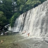 Vickery Creek Trail, Georgia - 4,242 Reviews, Map | AllTrails