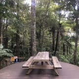 Auckland City Walk, Upper Kauri, Long Road and Fence Line Tracks Loop ...