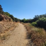 Brush Canyon Trail and Mount Bell Loop, California - 374 Reviews, Map ...