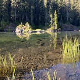 Mildred Lakes Trail, Washington - 200 Reviews, Map | AllTrails