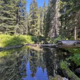 Mildred Lakes Trail, Washington - 200 Reviews, Map | AllTrails