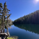 Mildred Lakes Trail, Washington - 200 Reviews, Map | AllTrails
